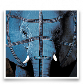 Safety Pool Covers | Inground Pool Liners | LOOP-LOC