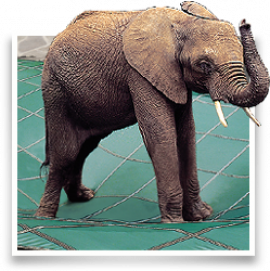 Safety Pool Covers | Inground Pool Liners | LOOP-LOC